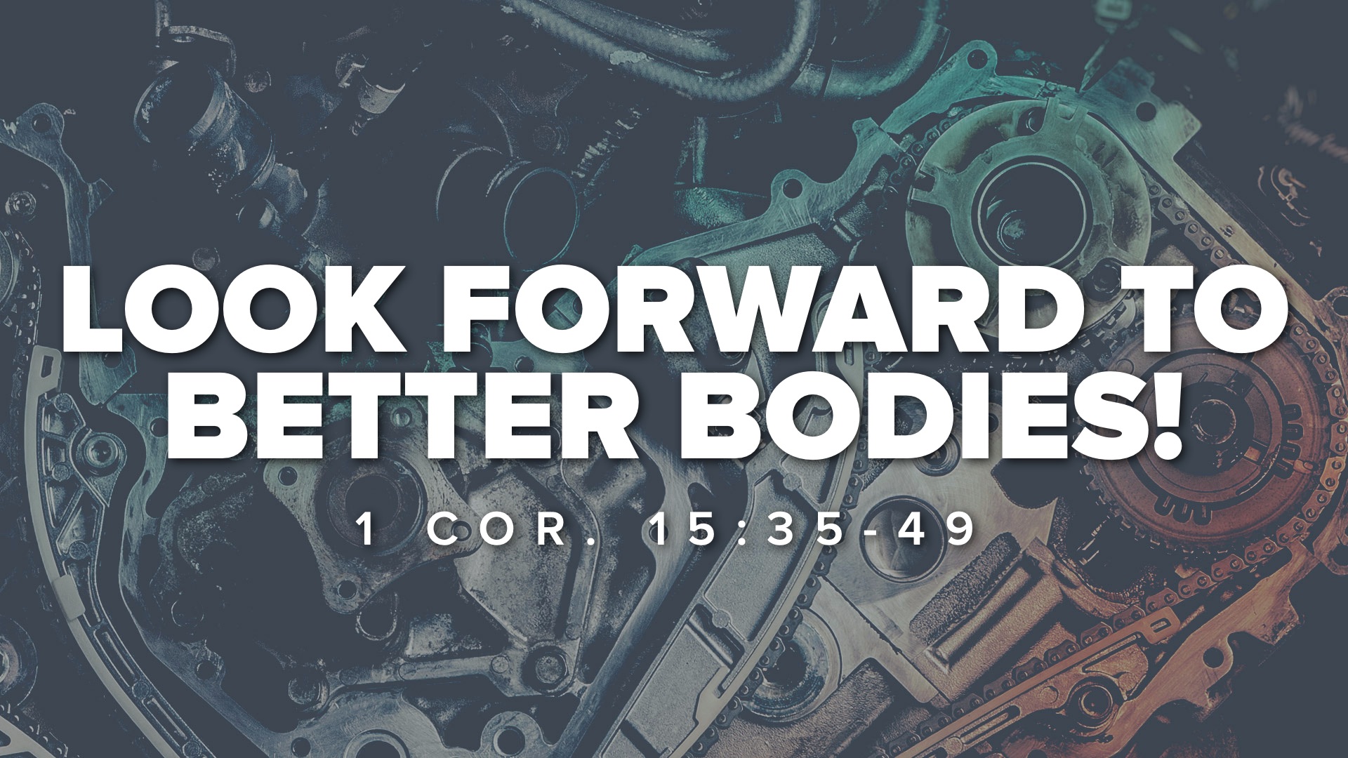Look Forward to Better Bodies! | Grace Bible Church - Killeen, TX ...
