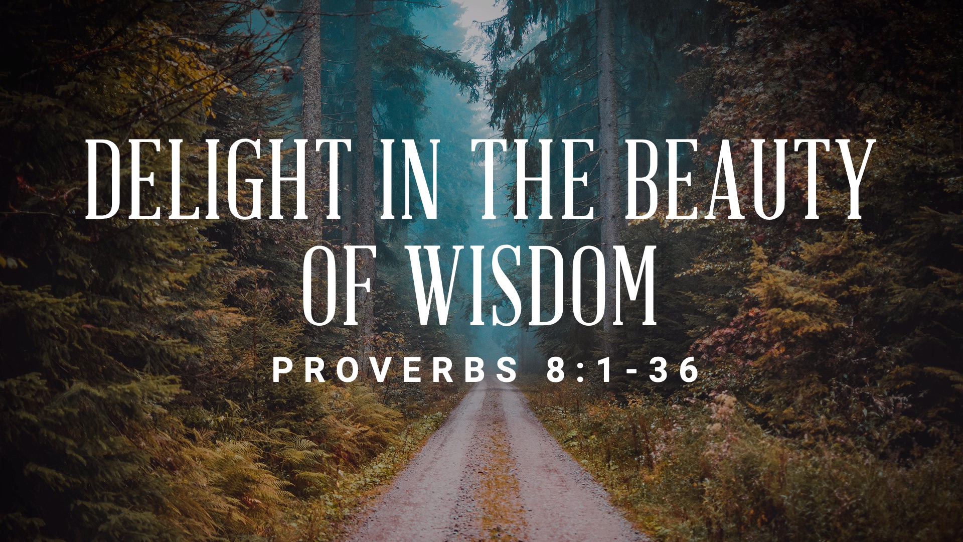 Delight In The Beauty Of Wisdom | Grace Bible Church - Killeen, TX ...