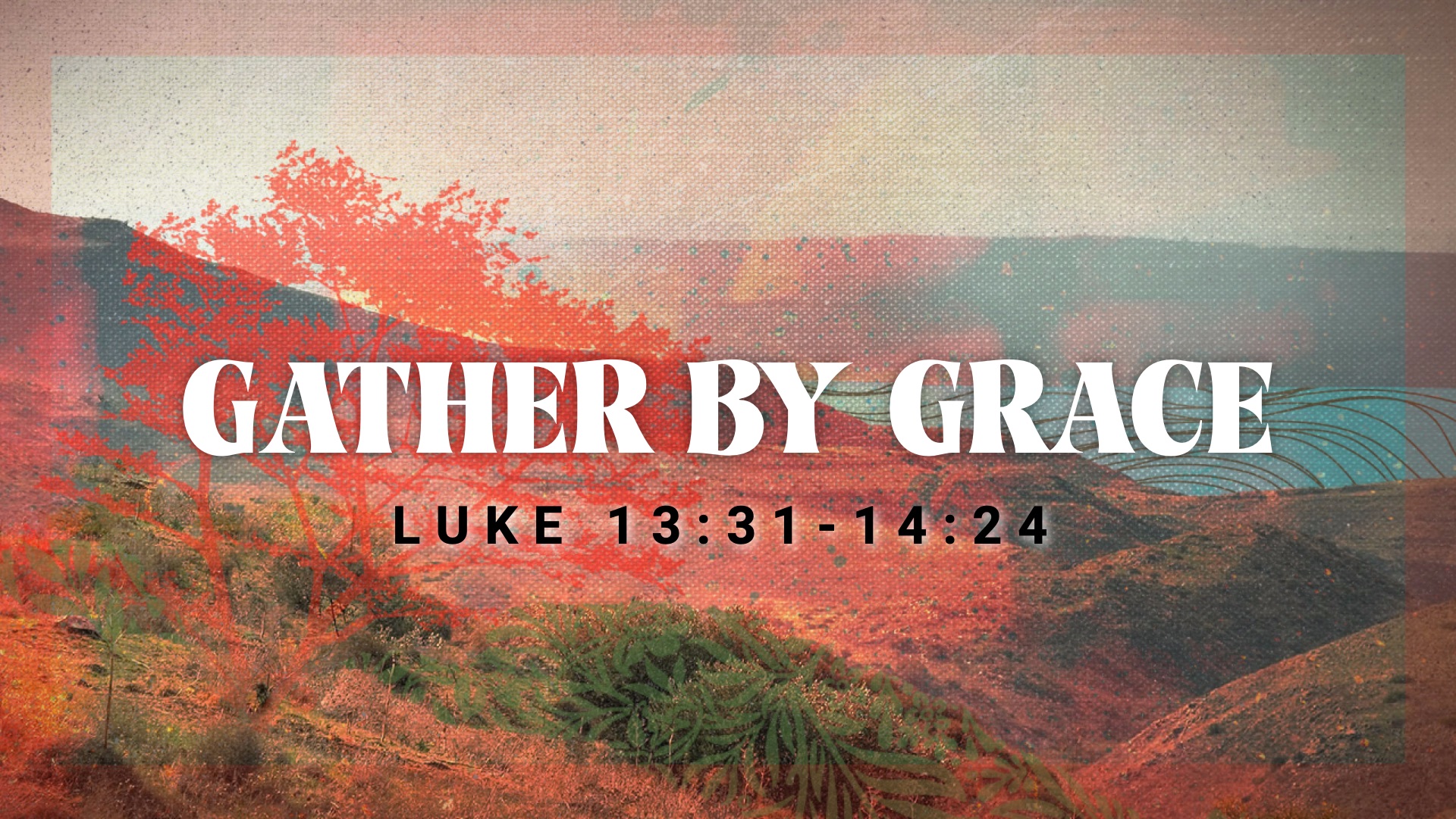 Gather By Grace | Grace Bible Church - Killeen, TX / Harker Heights, TX ...