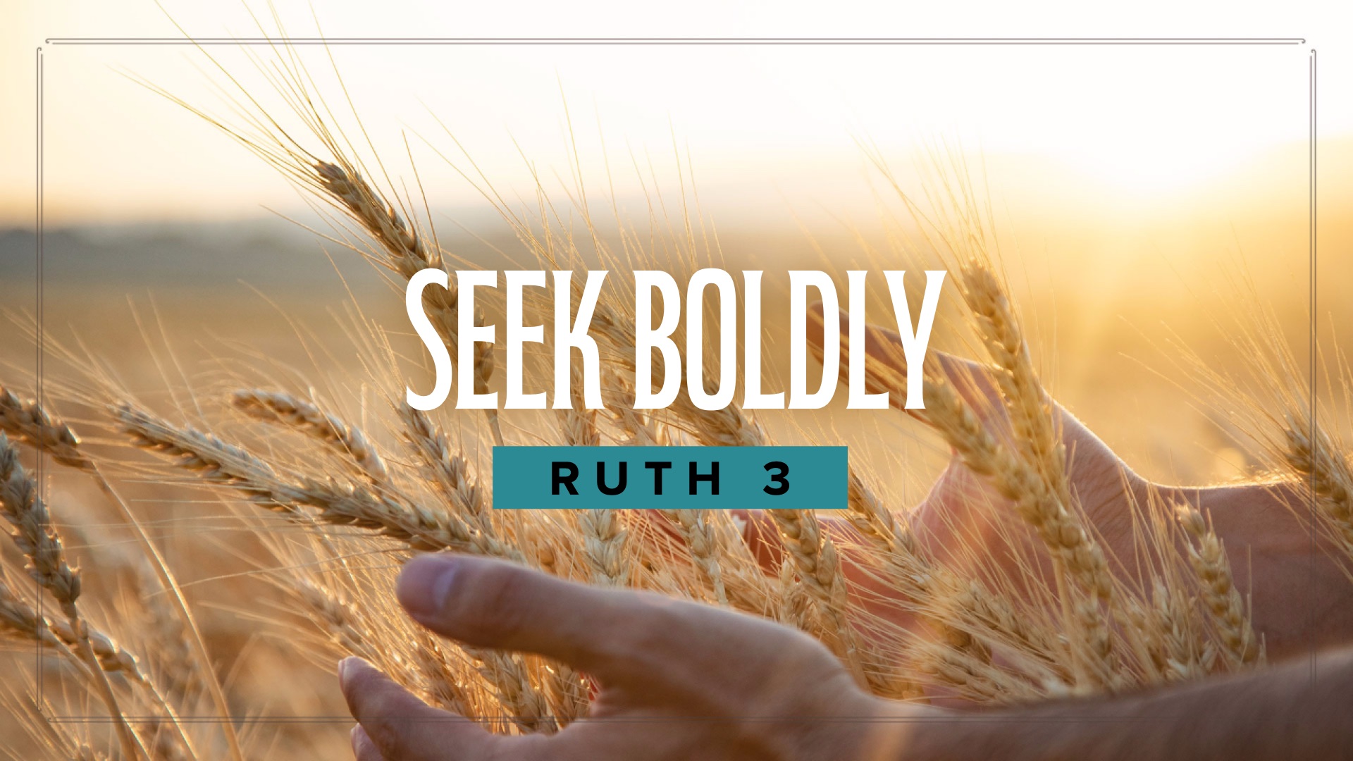 Seek Boldly | Grace Bible Church - Killeen, TX / Harker Heights, TX ...